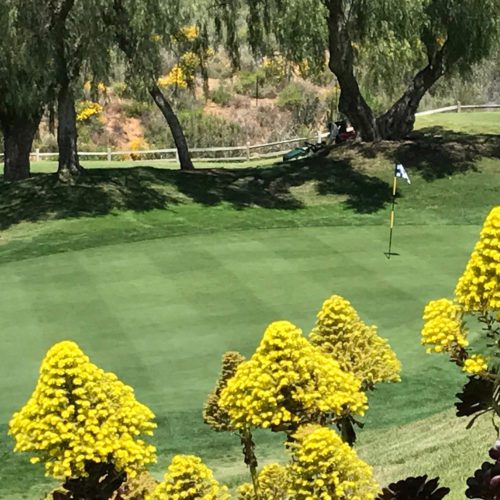Steele Canyon Golf Club - Information, Tee Times, Groups