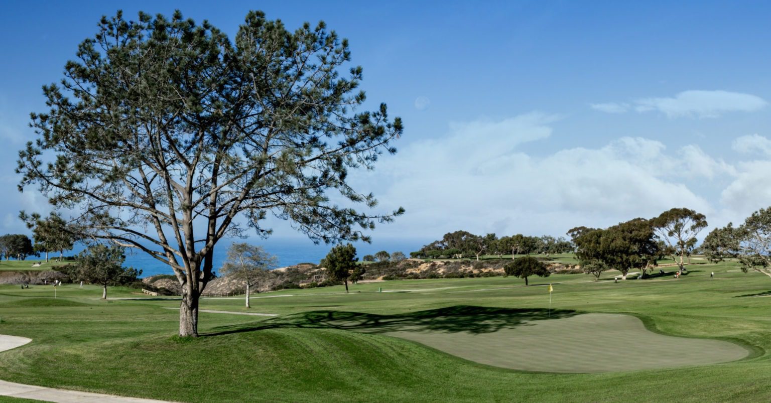 2021 U.S. Open | Torrey Pines Golf